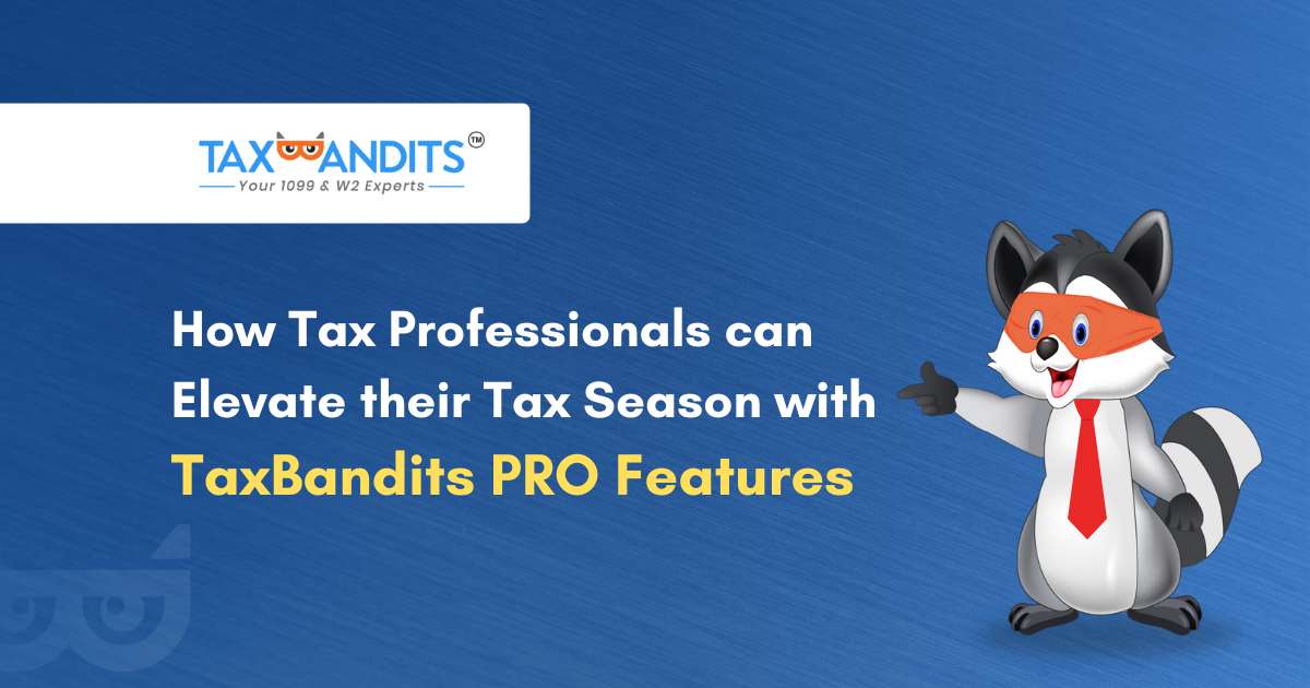 How Tax Professionals Can Elevate their Tax Season with TaxBandits PRO ...